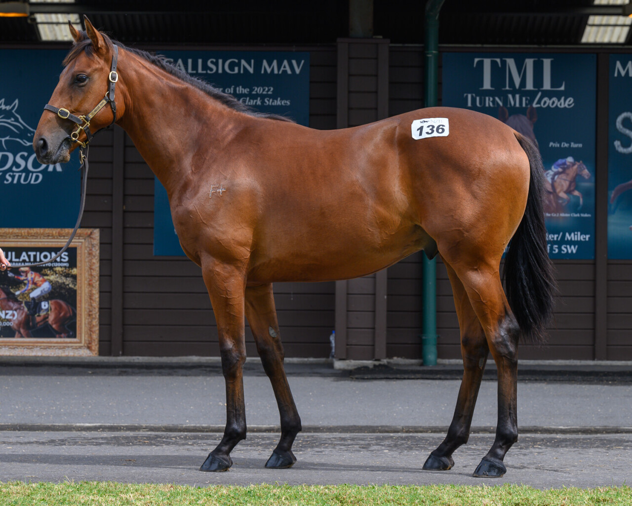 Bring Forth - Price Kent Racing