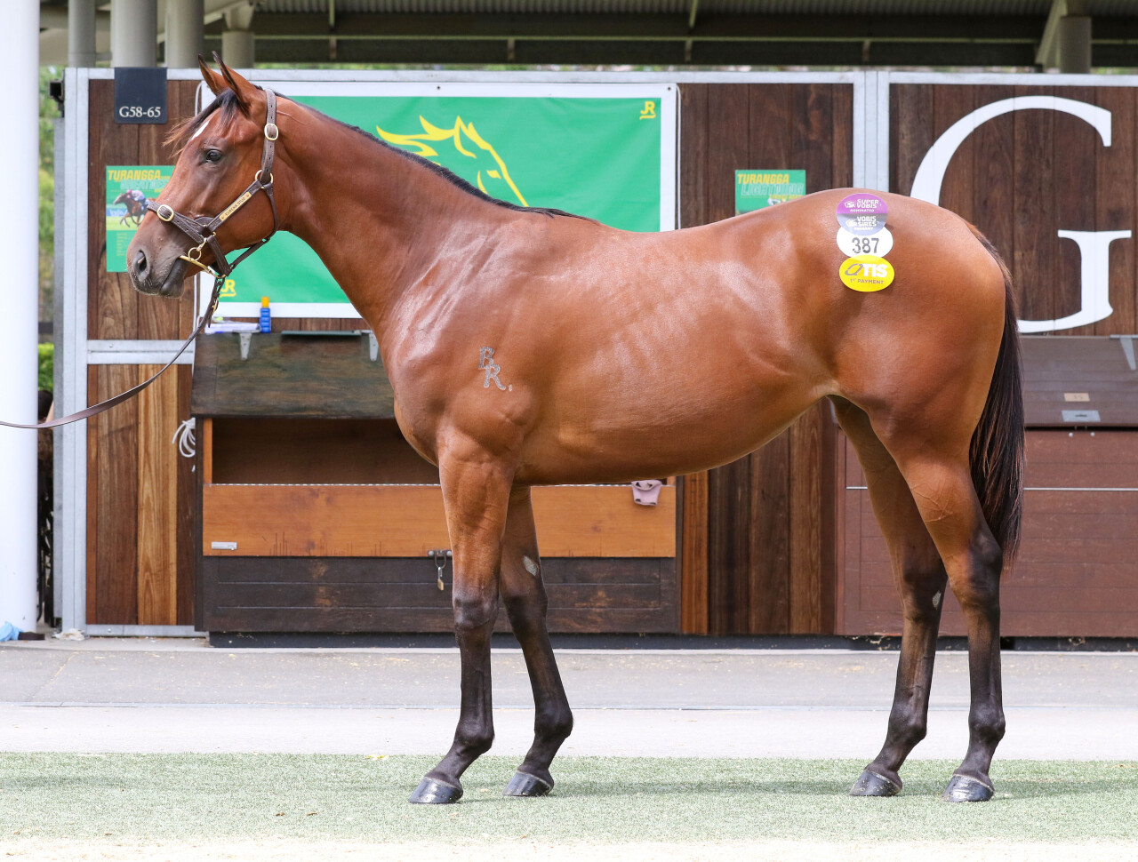 Hurricane Georgie - Price Kent Racing