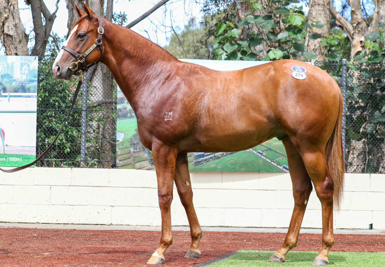 Yankee Stadium - Price Kent Racing