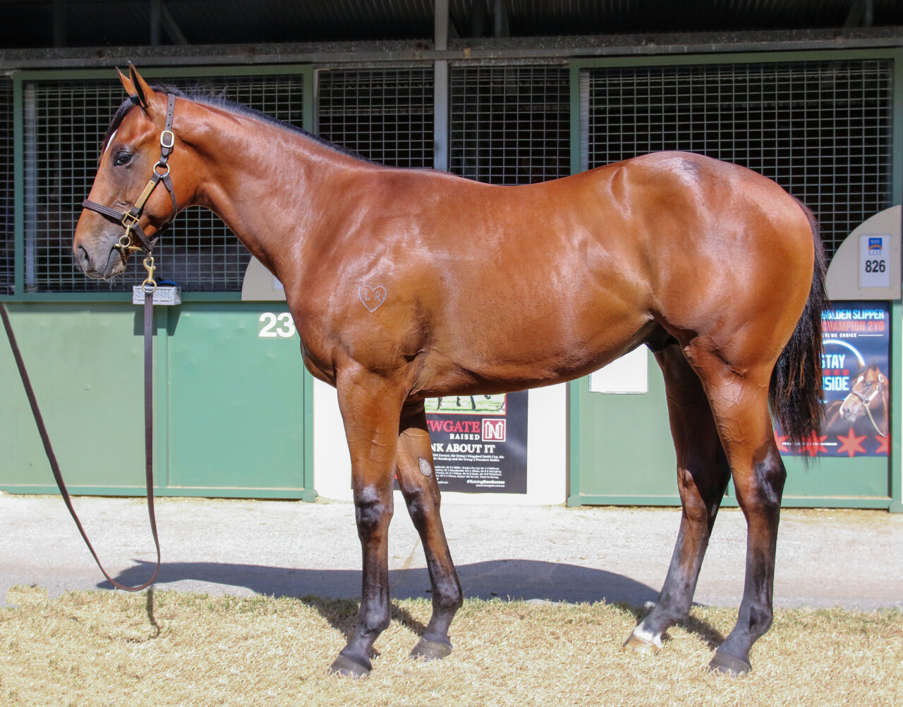 Guest House - Price Kent Racing