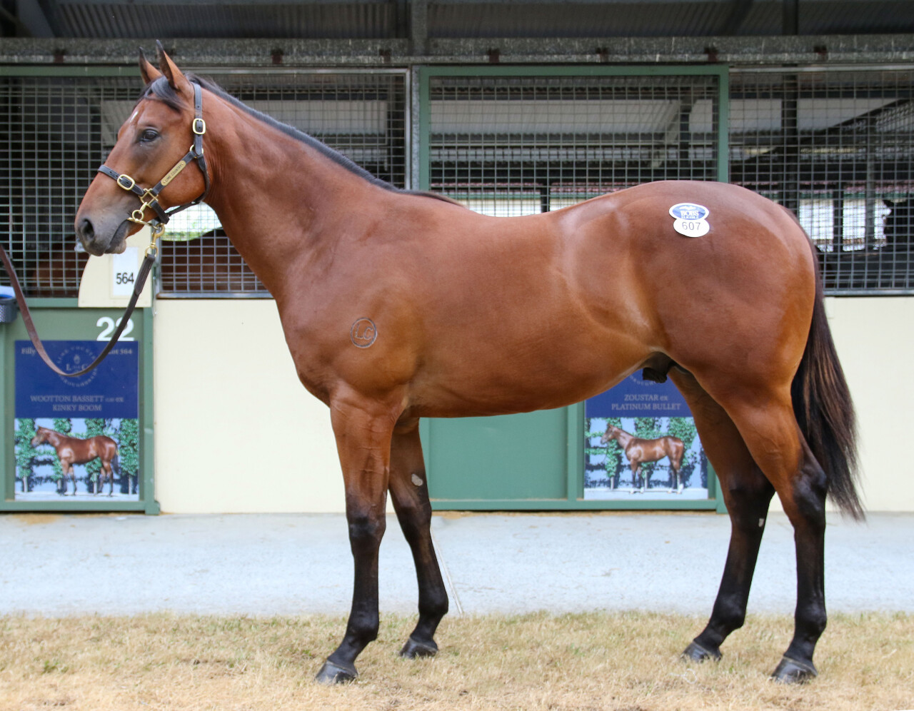 Commit - Price Kent Racing