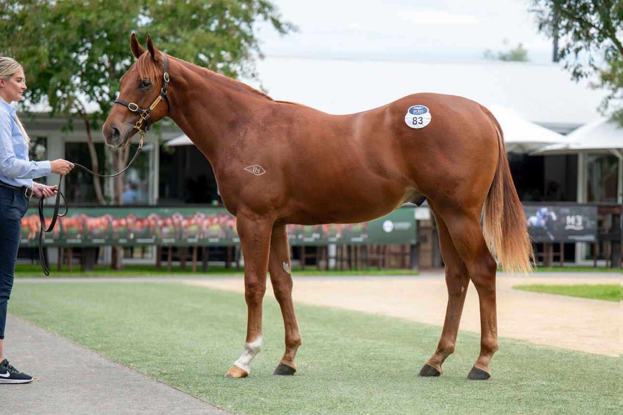 He's Regal - Price Kent Racing